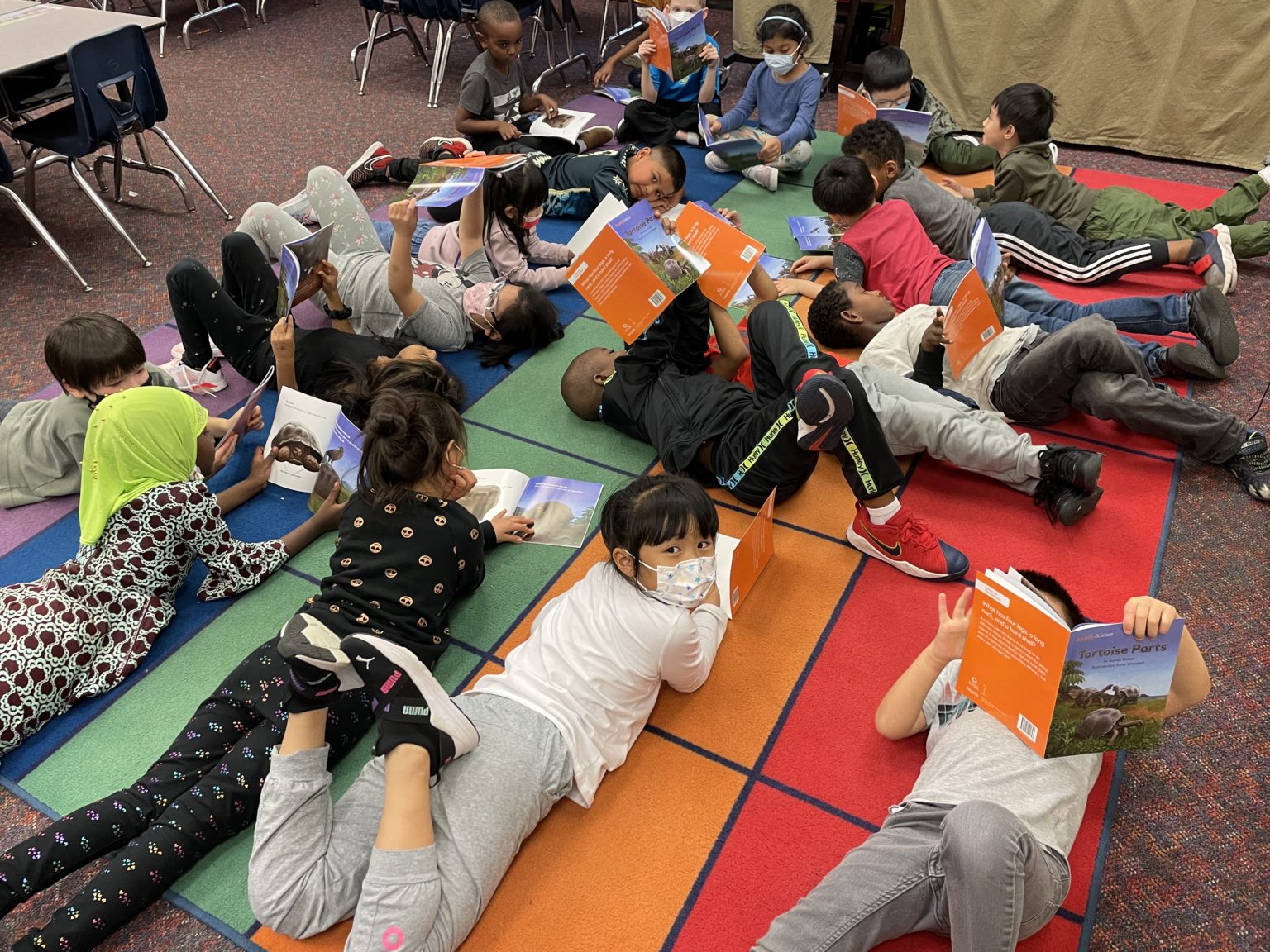 Rising Star Firebirds are fired up about reading! – Page Ahead Children ...